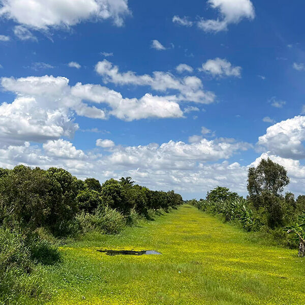U Minh Thuong National Park - Kien Giang | Vietdreamtravel