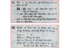 Origin and Meaning of the name Saigon | Viet Dream Travel