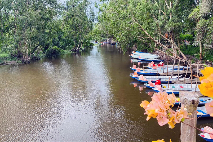 Tra Su Cajuput Forest - Top Visited in An Giang Province
